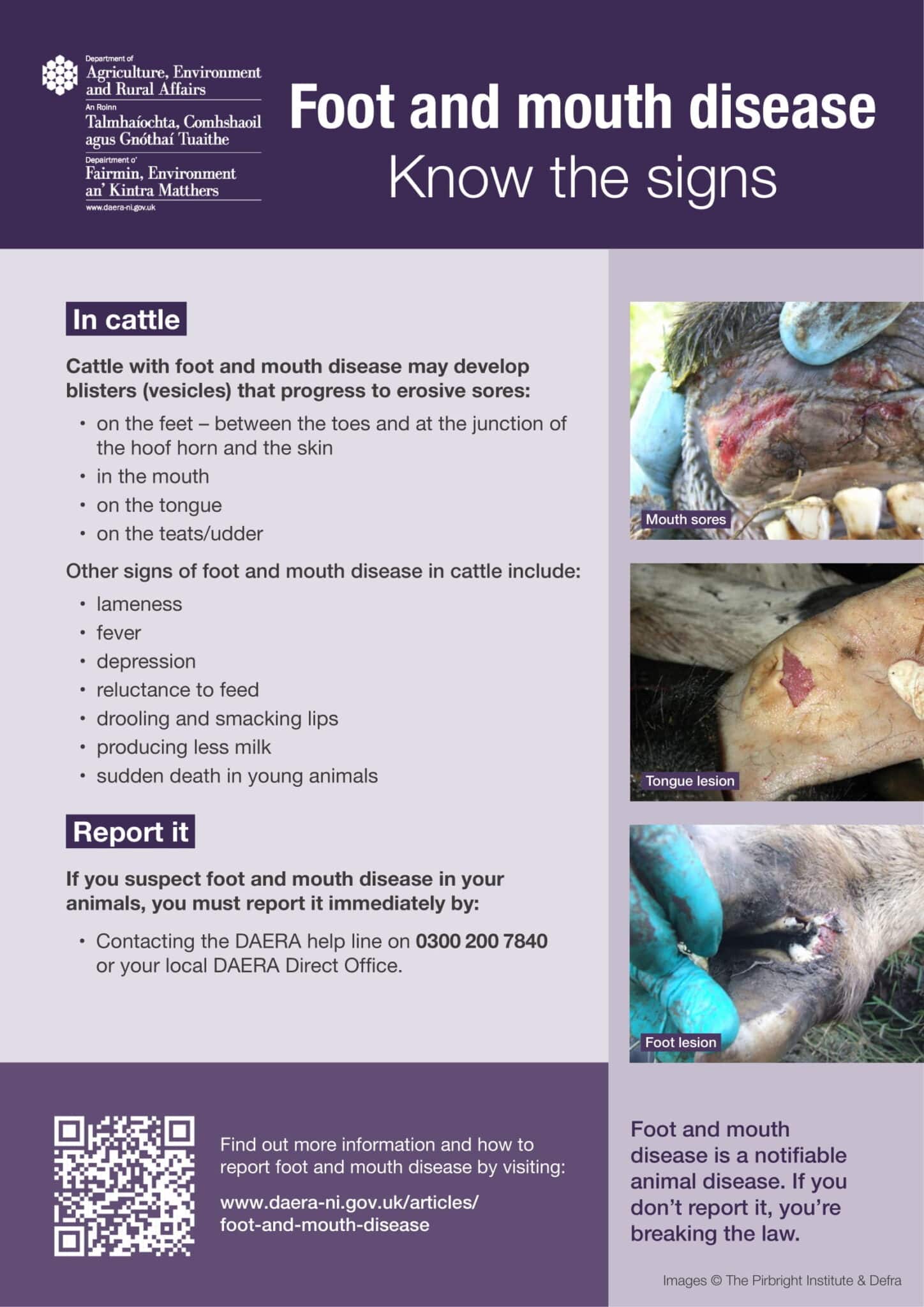 Foot and Mouth Disease know the signs – Animal Health & Welfare NI